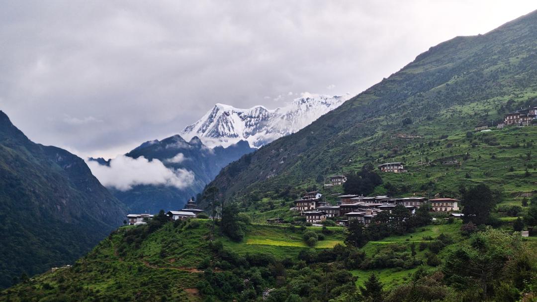 Bhutan Tourism Services Portal